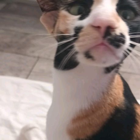 Иконка канала Ванёк аемборск