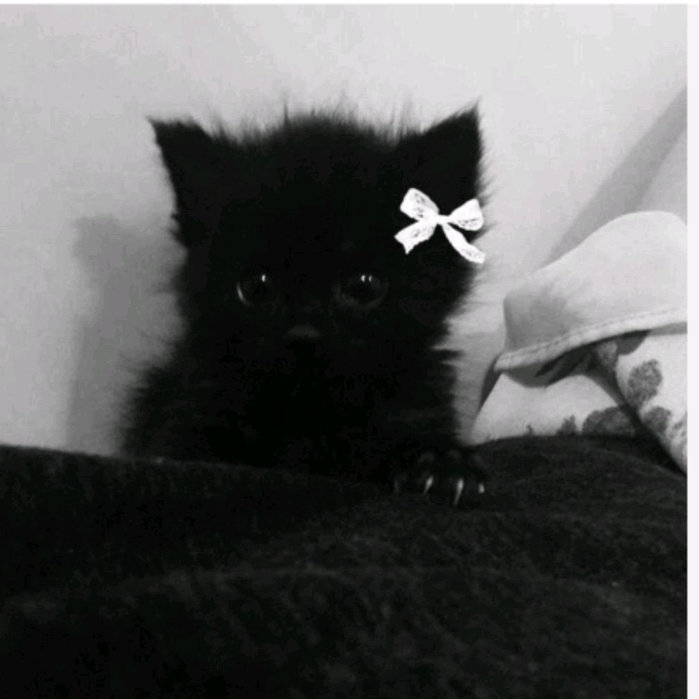 Иконка канала ❤️Кирусик❤️