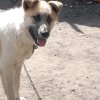Иконка канала Тимур и Мухтар и Тая