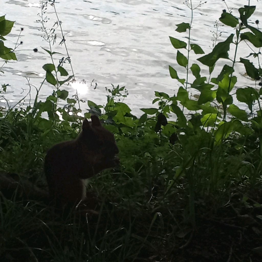 Иконка канала Попик