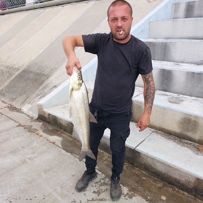 Иконка канала POPEL1987