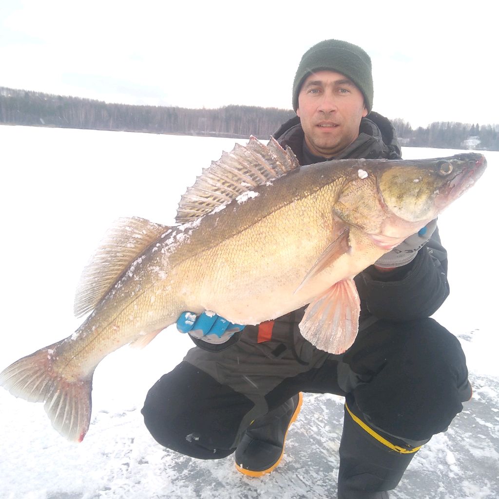 Иконка канала 44Region