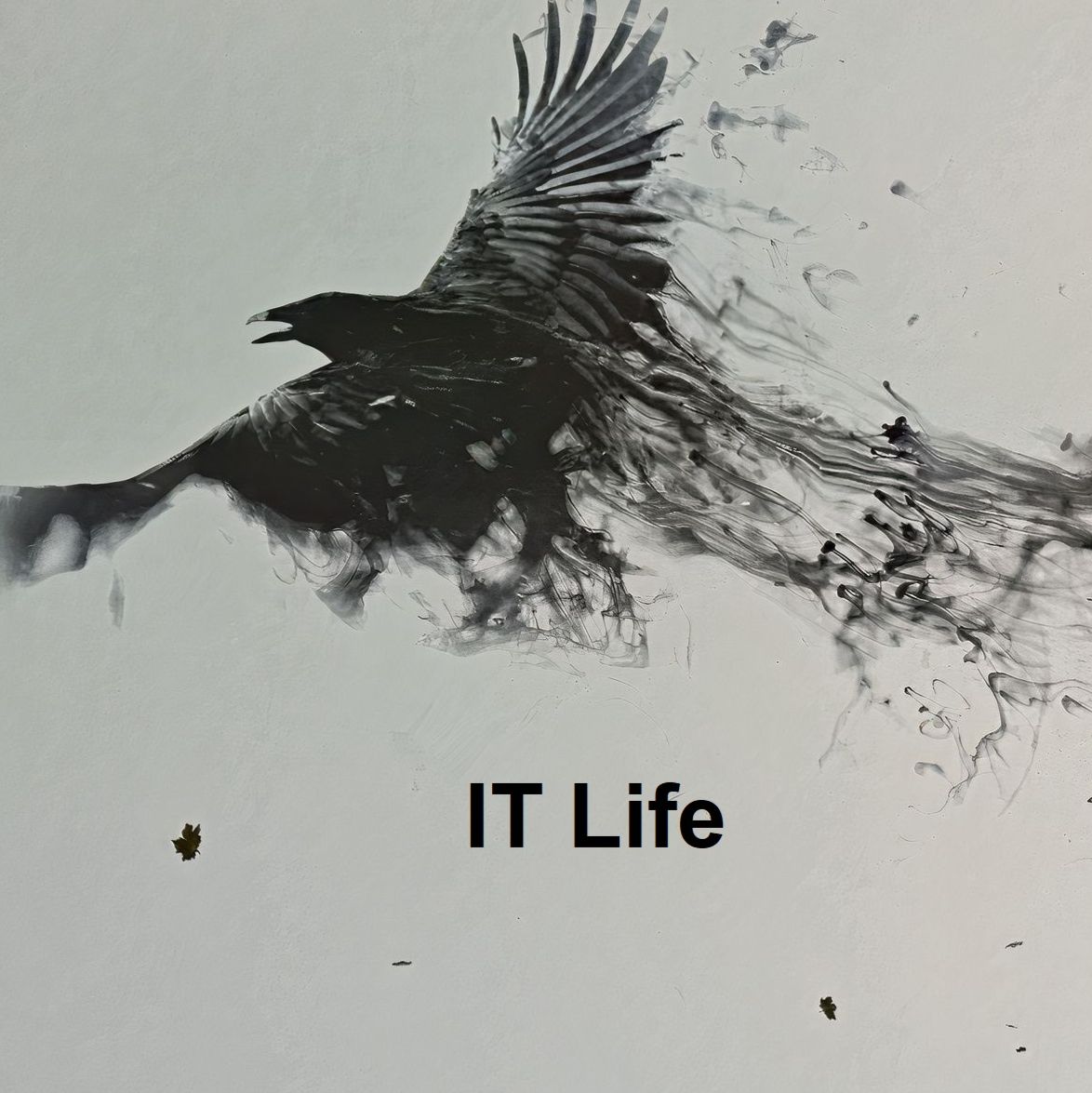 Иконка канала IT Life