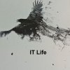 Иконка канала IT Life