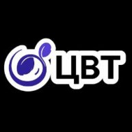 Иконка канала АНО ДО ЦВТ