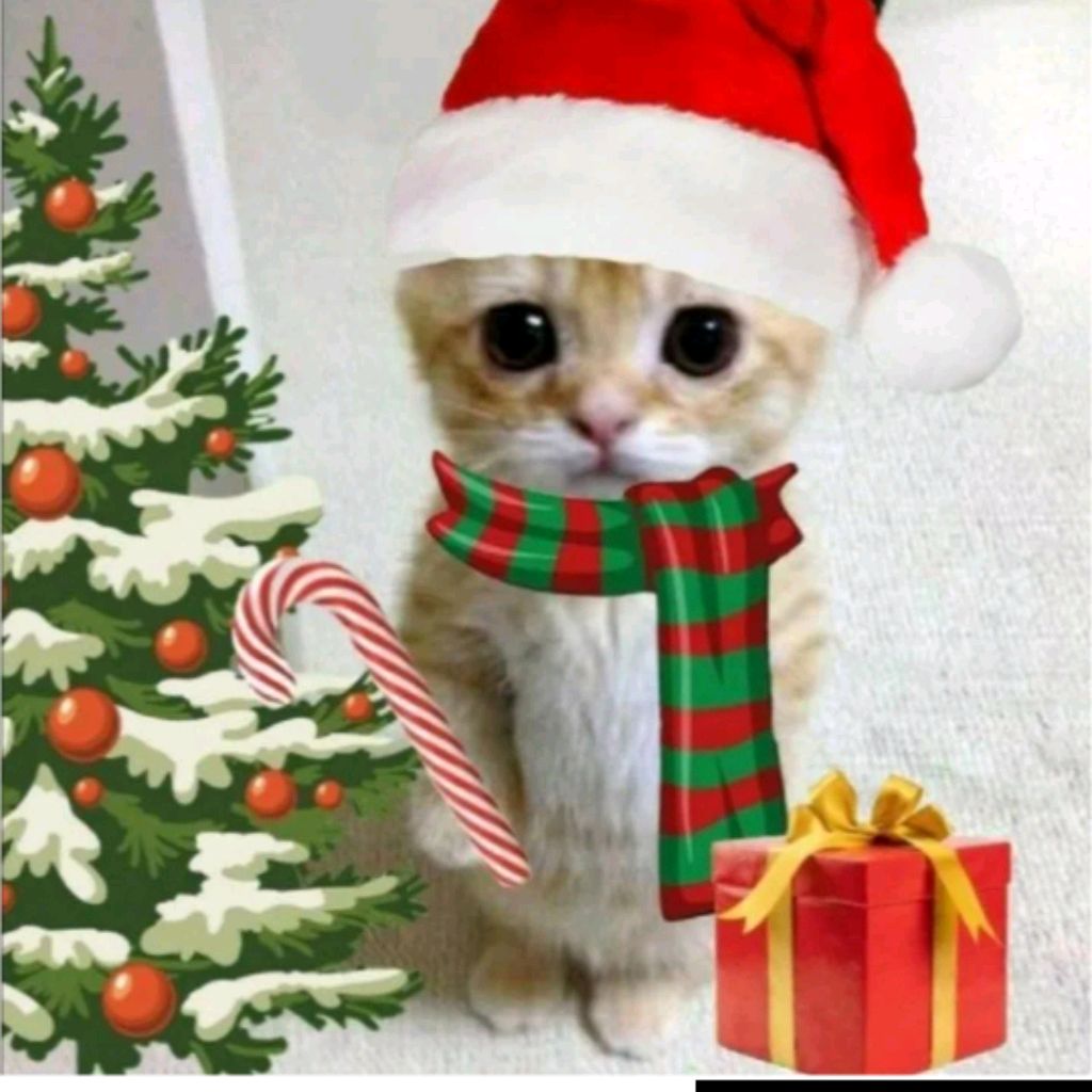 Иконка канала 💝ꏂ꒒ ꍌꋬ꓄ꄲ🍞🐱🎄