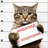 Иконка канала ИНВАЛИД С КОШКАМИ