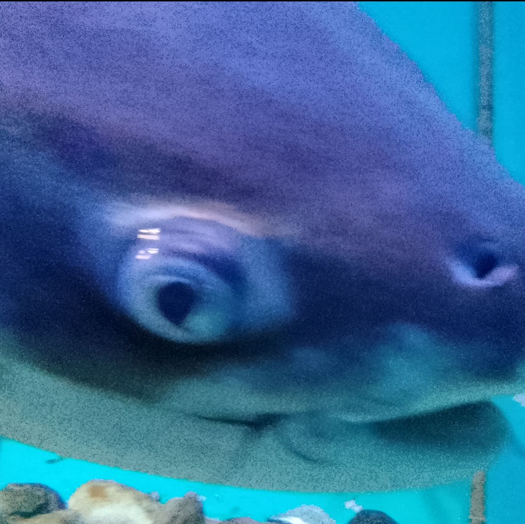 Иконка канала Vinal