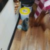 Иконка канала channel73120890