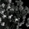 Иконка канала 🌸V🌸