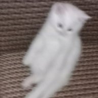 Иконка канала Прокачка