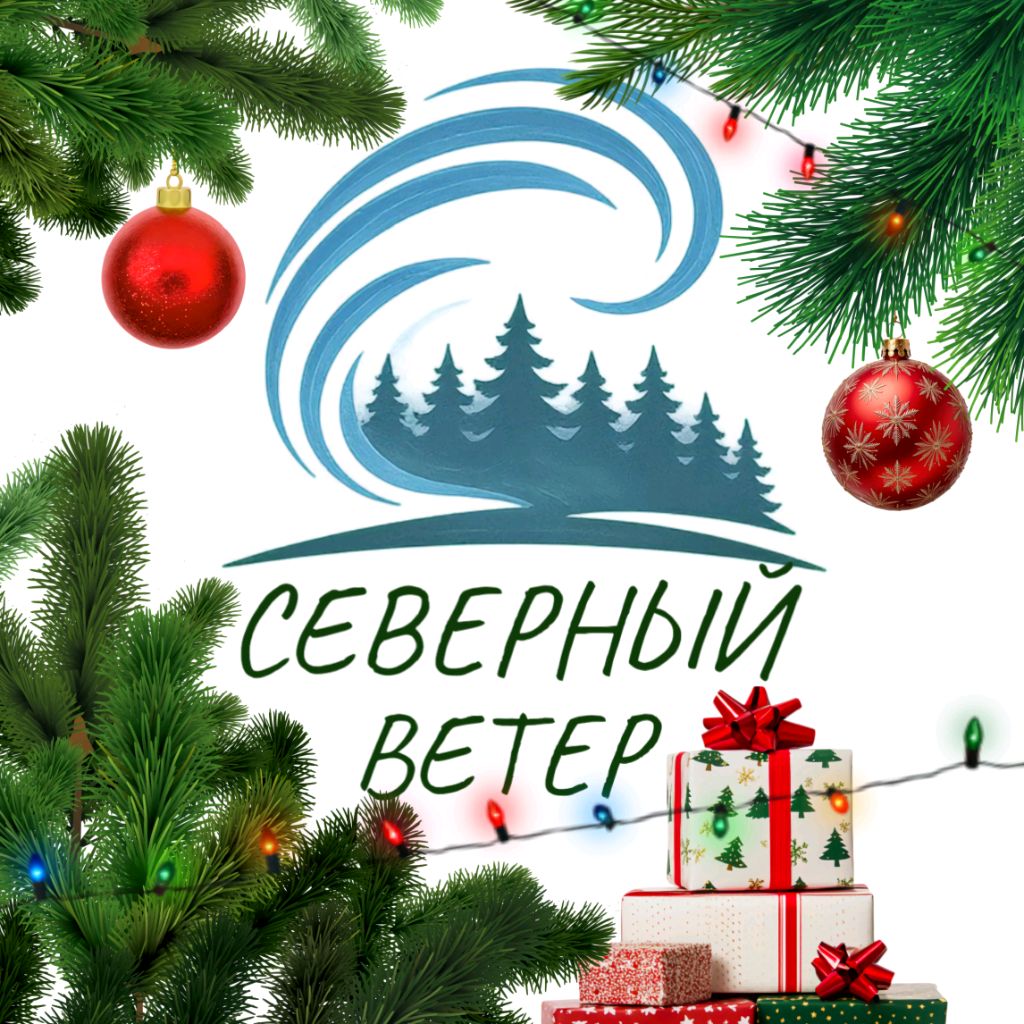 Иконка канала Северный ветер