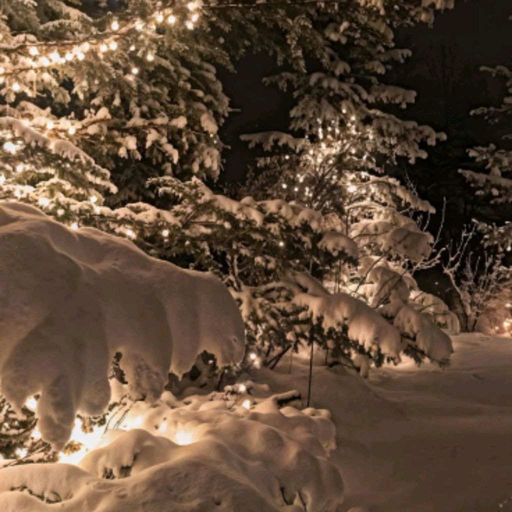 Иконка канала ТГ Инос 5👽