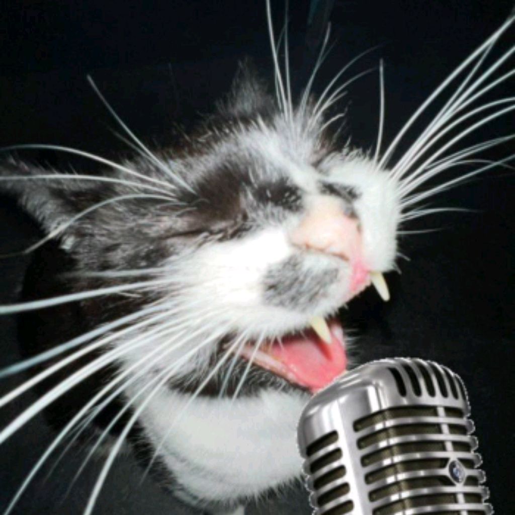 Иконка канала Mirka