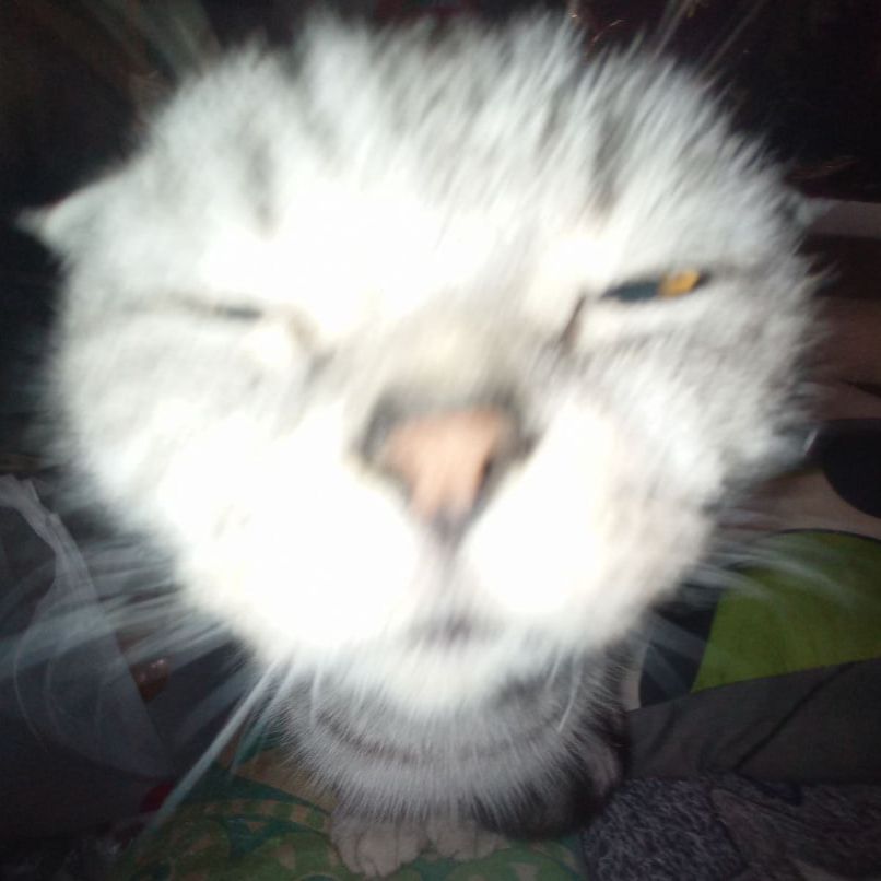 Иконка канала TheANDRE