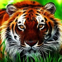 Иконка канала Anton Shimak