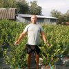 Иконка канала Липецкая Ягода 🫐