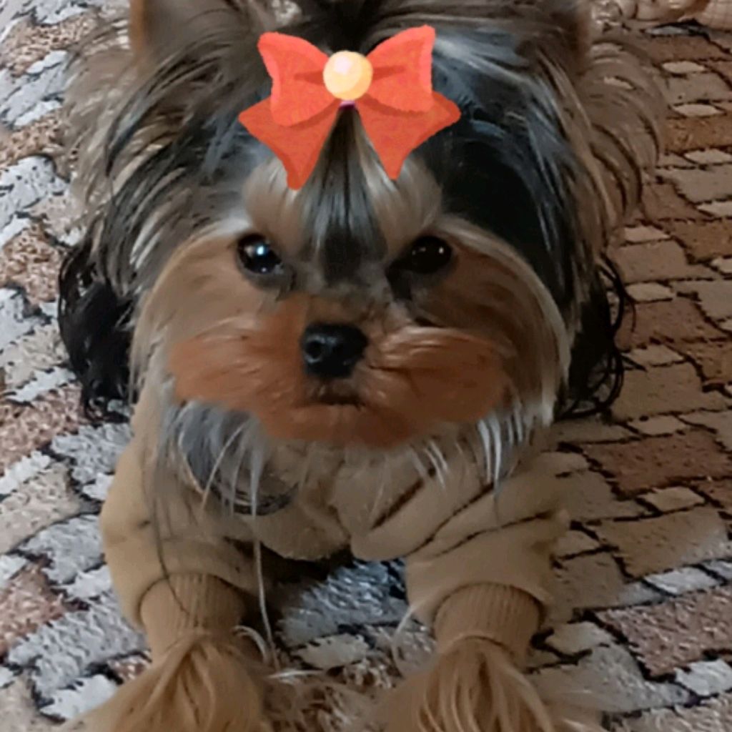 Иконка канала channel32510807