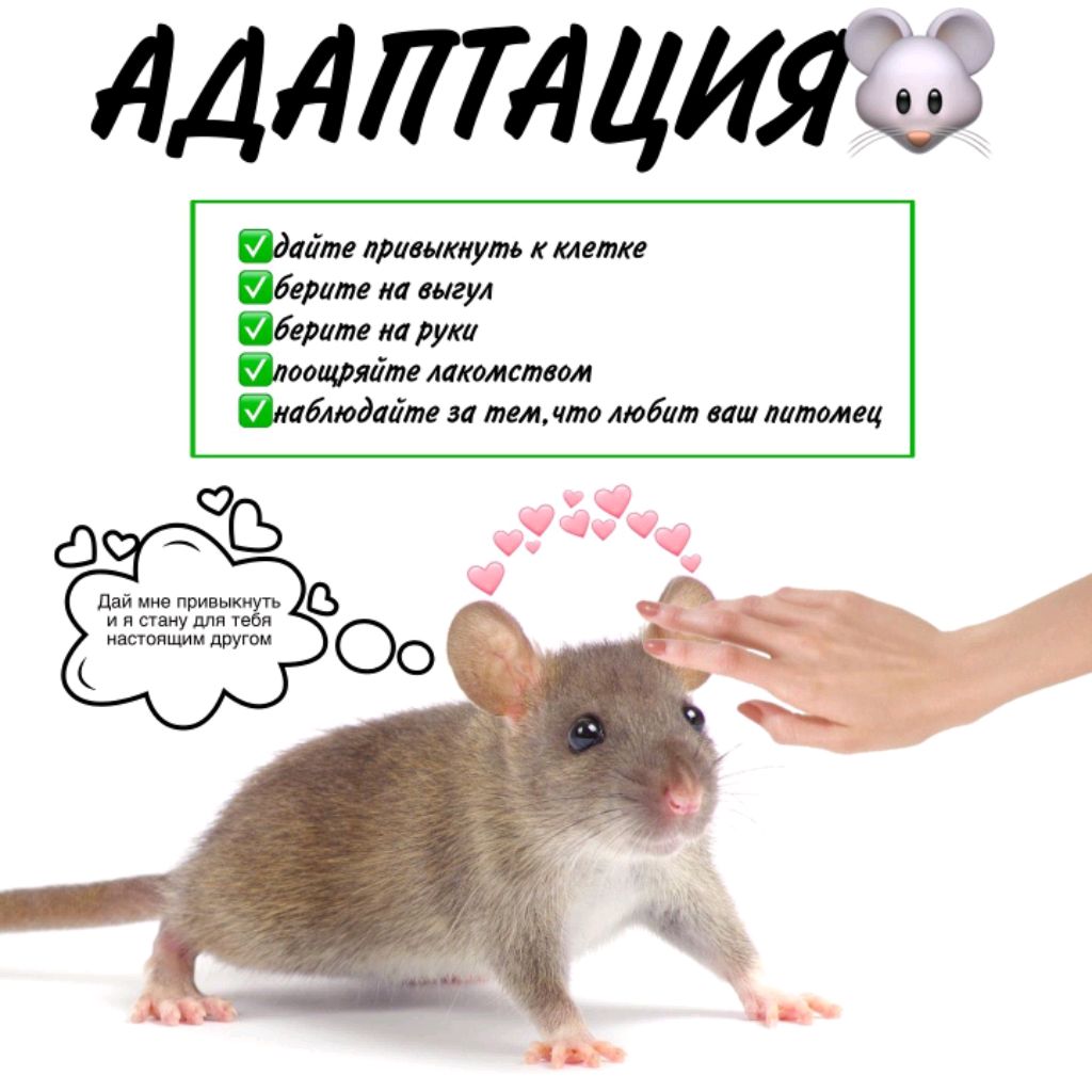 Иконка канала ааппрр