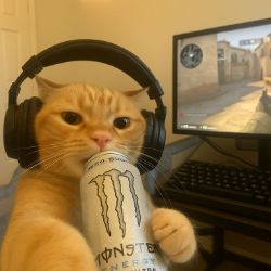 Иконка канала кот играет в кс 2