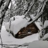 Иконка канала В ТАЙГЕ ПРИКАМЬЯ