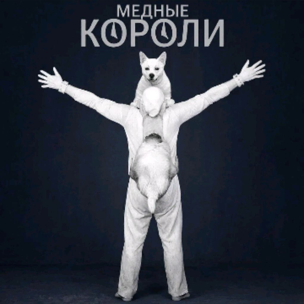 Иконка канала Шерстяные  Короли (Official Channel)