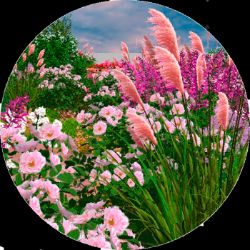 Иконка канала Видео уроки по  работе в Наш Сад от Александра С.