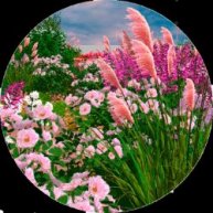 Иконка канала Видео уроки по работе в Наш Сад от Александра С.