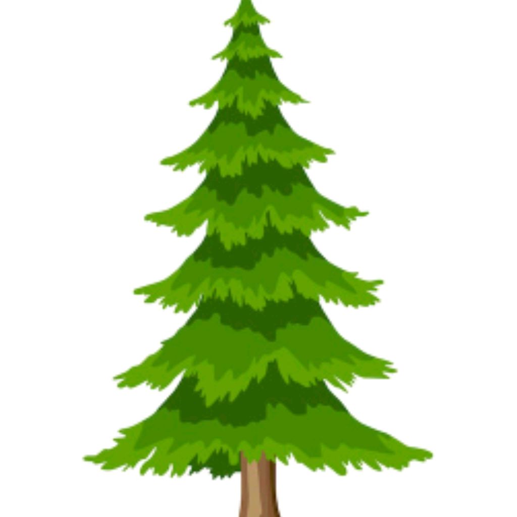 Иконка канала Ёлка 🌲✅