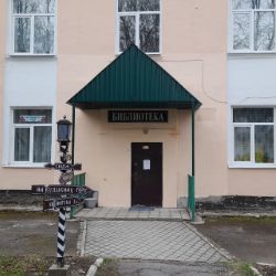 Иконка канала Центральная библиотека г. Александровск