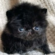 Иконка канала aaa.you