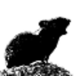 Иконка канала Sevit Print Shop Manager (SPSM)