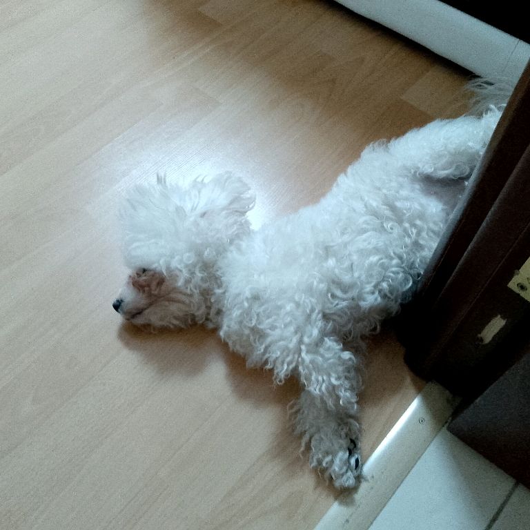 Иконка канала channel74192701