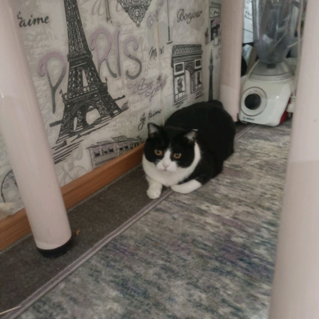 Иконка канала Влад И Музыка