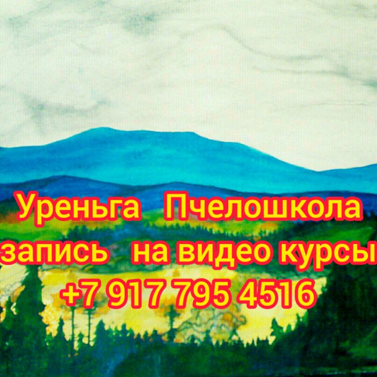 Иконка канала УРЕНЬГА Пчелошкола