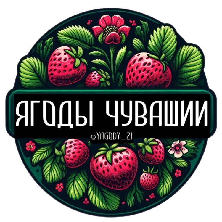 Иконка канала Ягоды Чувашии 🍓