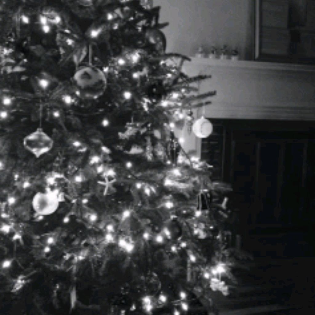 Иконка канала ||•Bill the cat•||