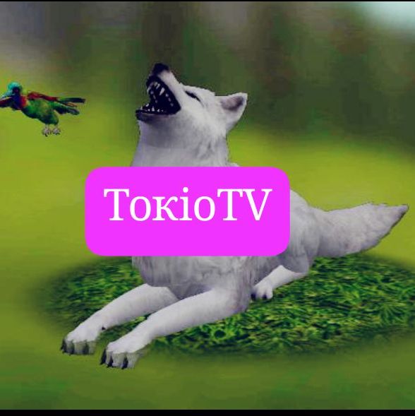 Иконка канала TokioTV