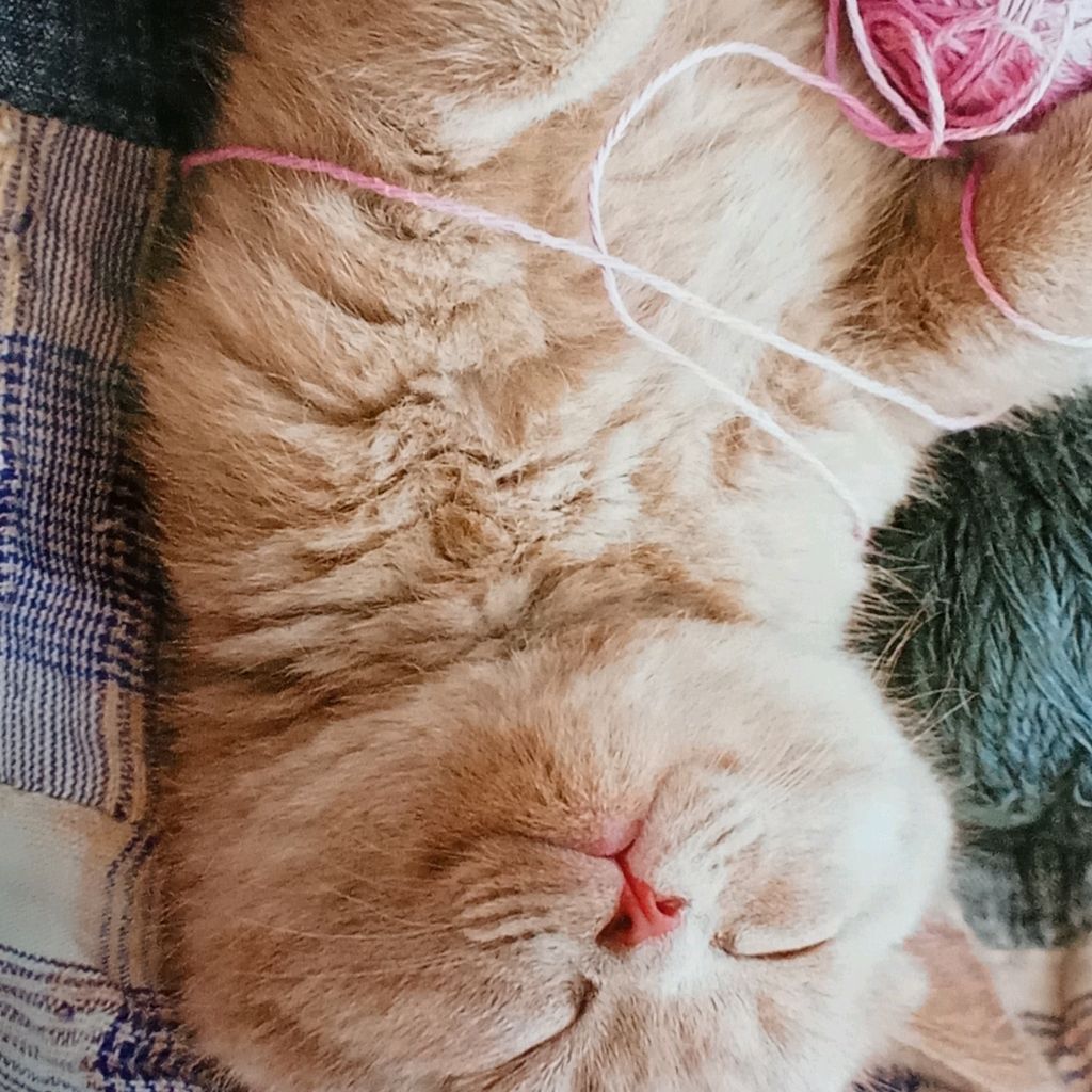 Иконка канала Маша Чери