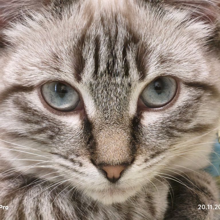 Иконка канала Sivun124k