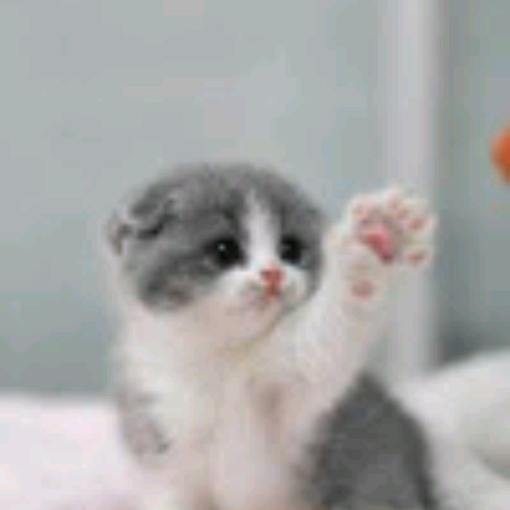 Иконка канала Даша Шоу