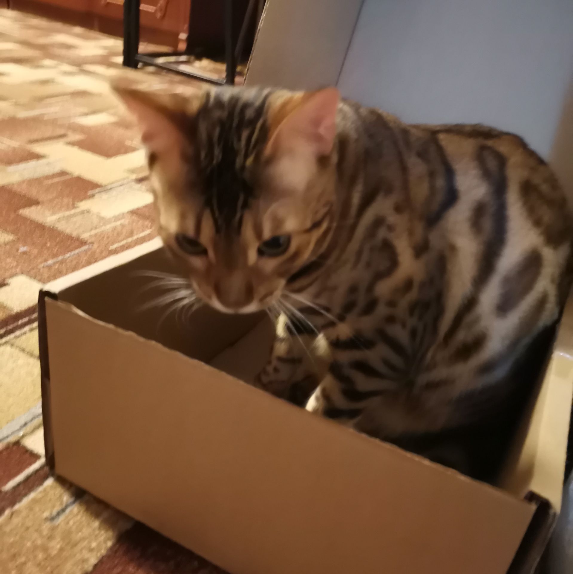 Иконка канала МИРАН