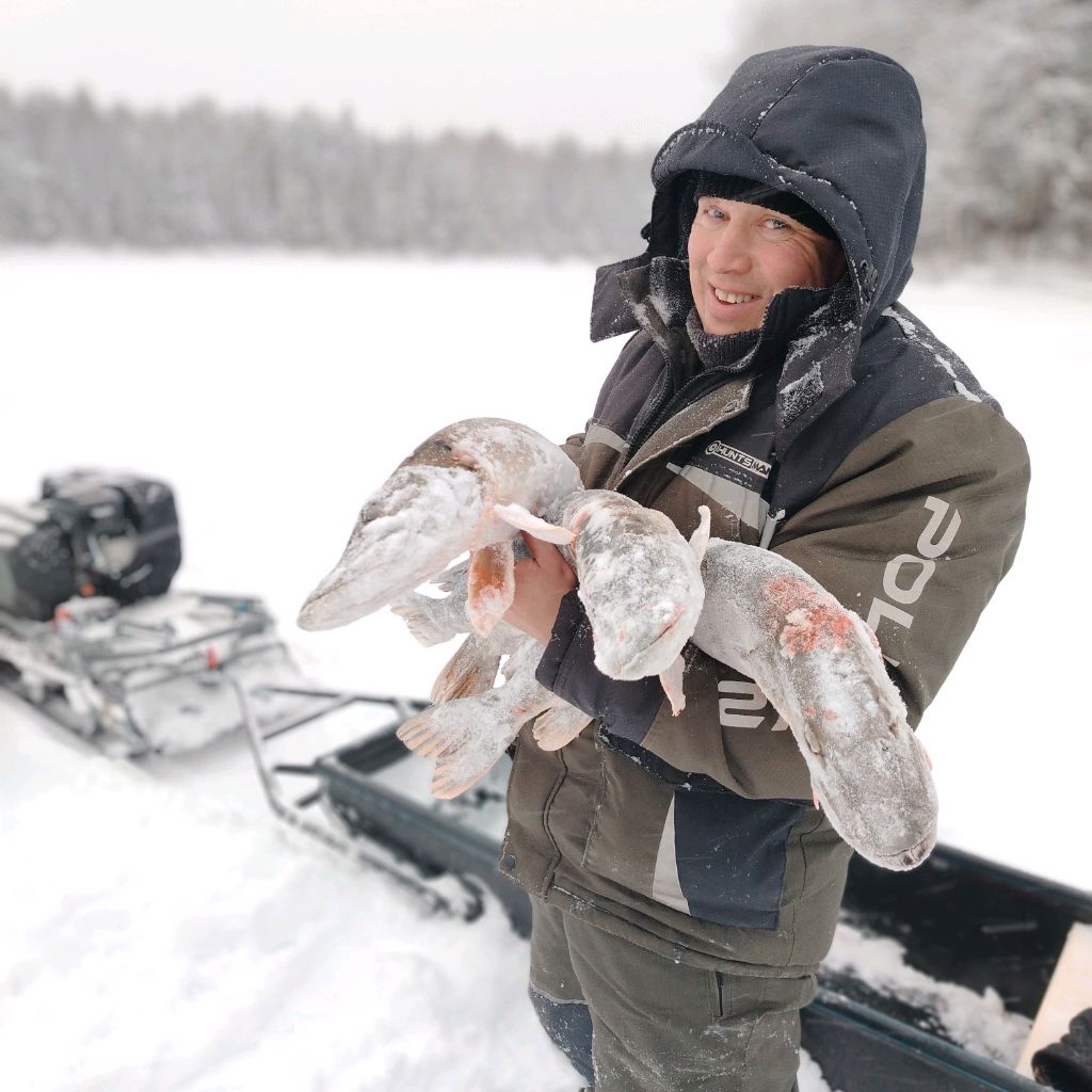 Иконка канала РАШИН КОМИ