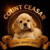 Иконка канала count_ceasar