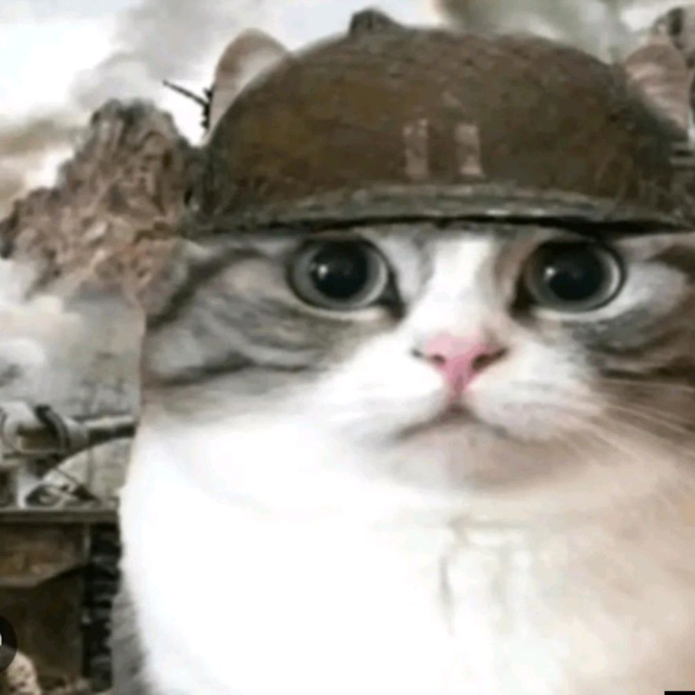 Иконка канала котик