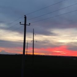 Иконка канала Благотворительный Фонд "АНГИ и Ангел"