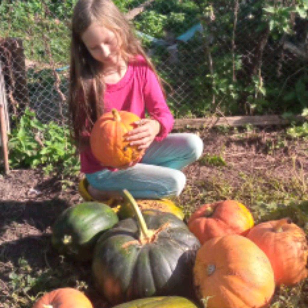 Иконка канала Черёмуха душистая.