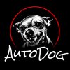 Иконка канала AutoMotoDog