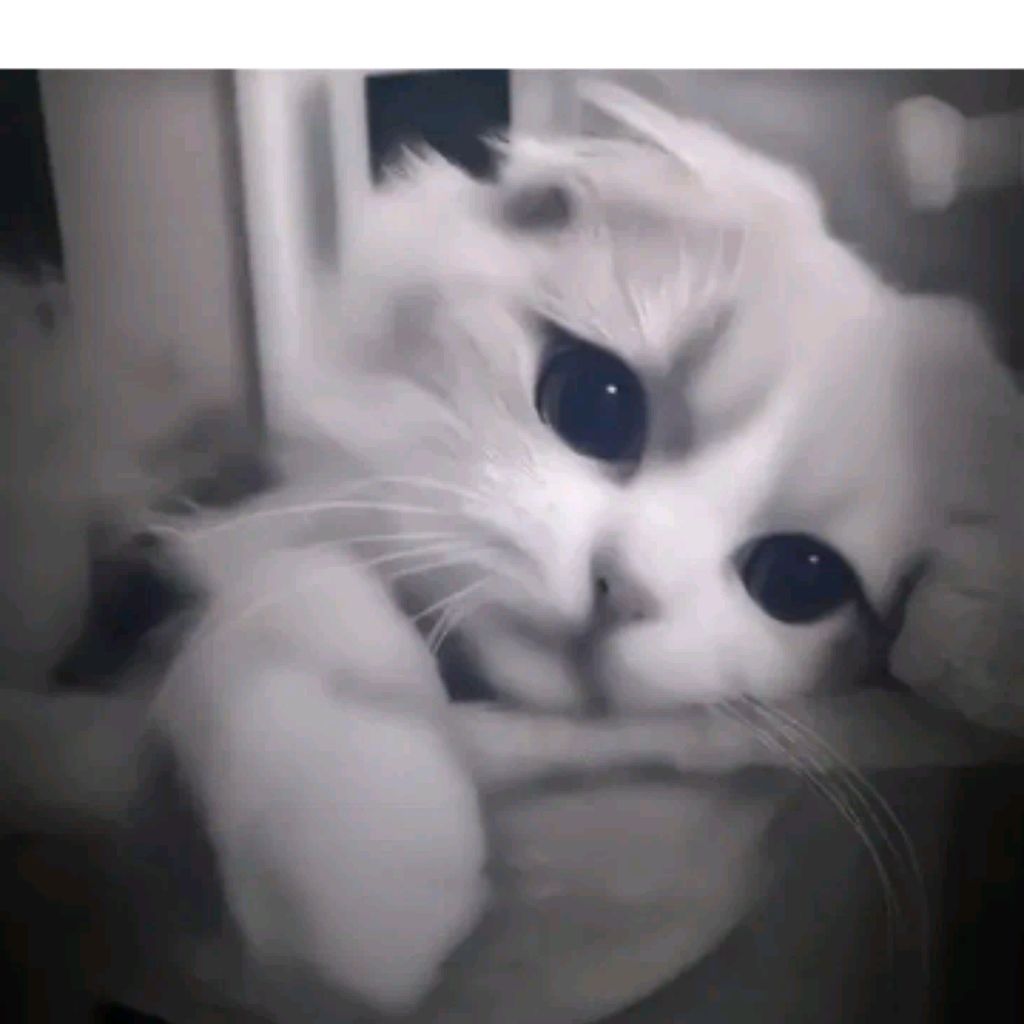 Иконка канала ༺Leͥgeͣnͫd༻