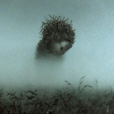 Иконка канала eXplorer